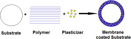 Role of plasticizer in membrane coated extended release oral drug ...