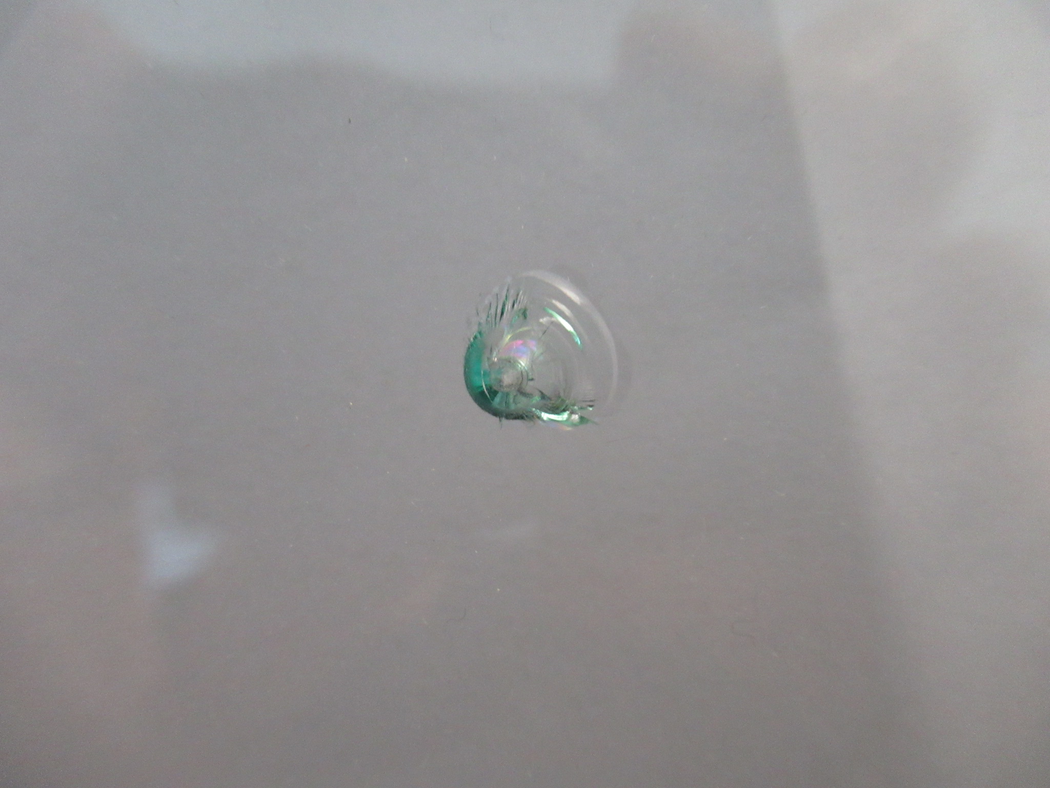 Scheibenersatz oder Reparaturen - Carrosserie Marco Heller