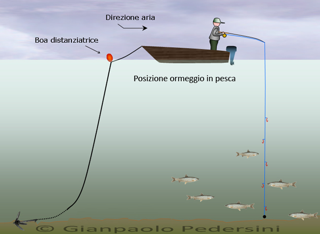 TECNICHE DI PESCA E LORO STORIA - pesca del coregone dalla barca