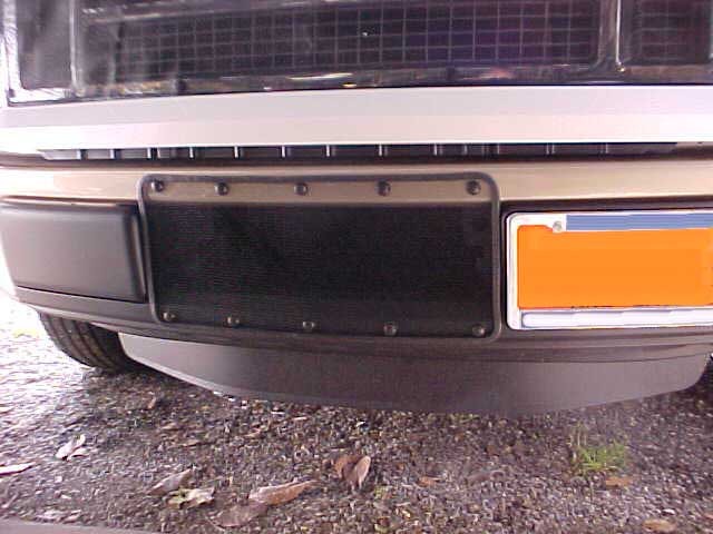 Behind The Grille Bug Screen Ford - Winter Front Grill Cover And Bug Screen