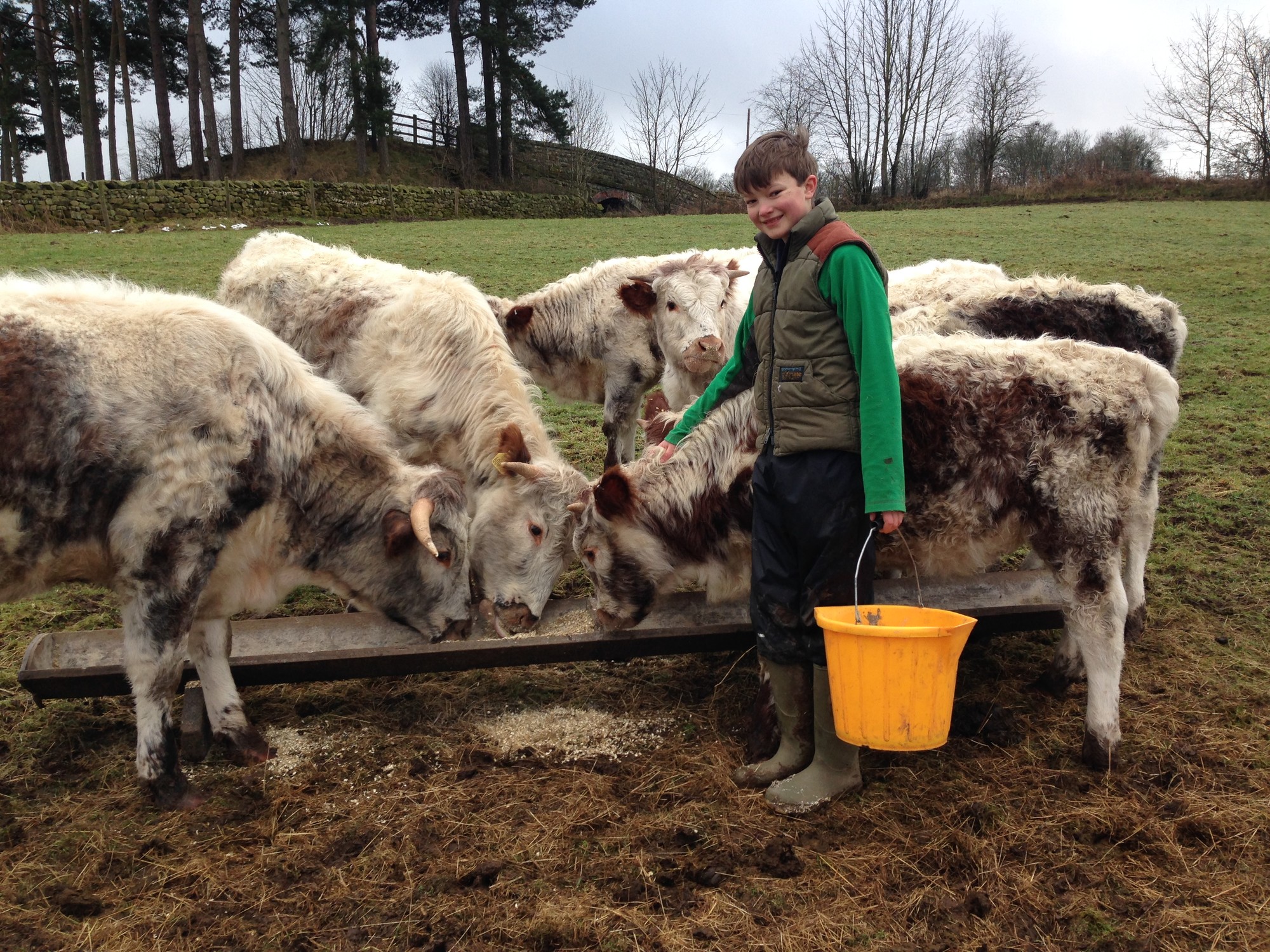 Prices for educational visits - susansfarm