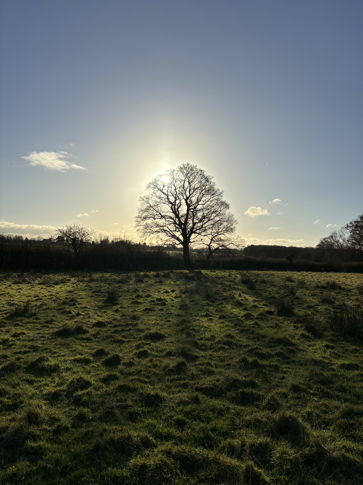 Vacancies at susan's farm - susansfarm