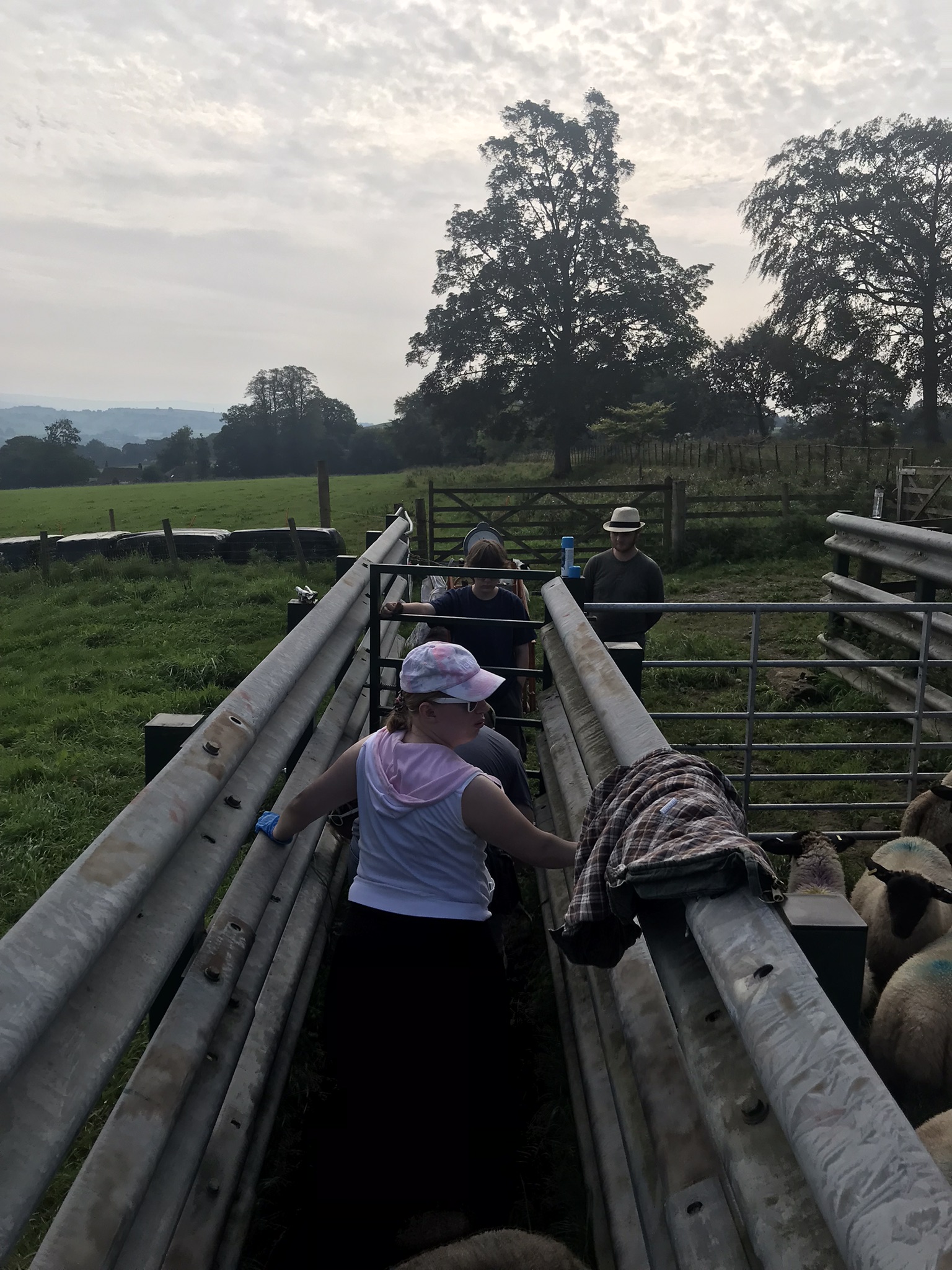 Gallery - susansfarm