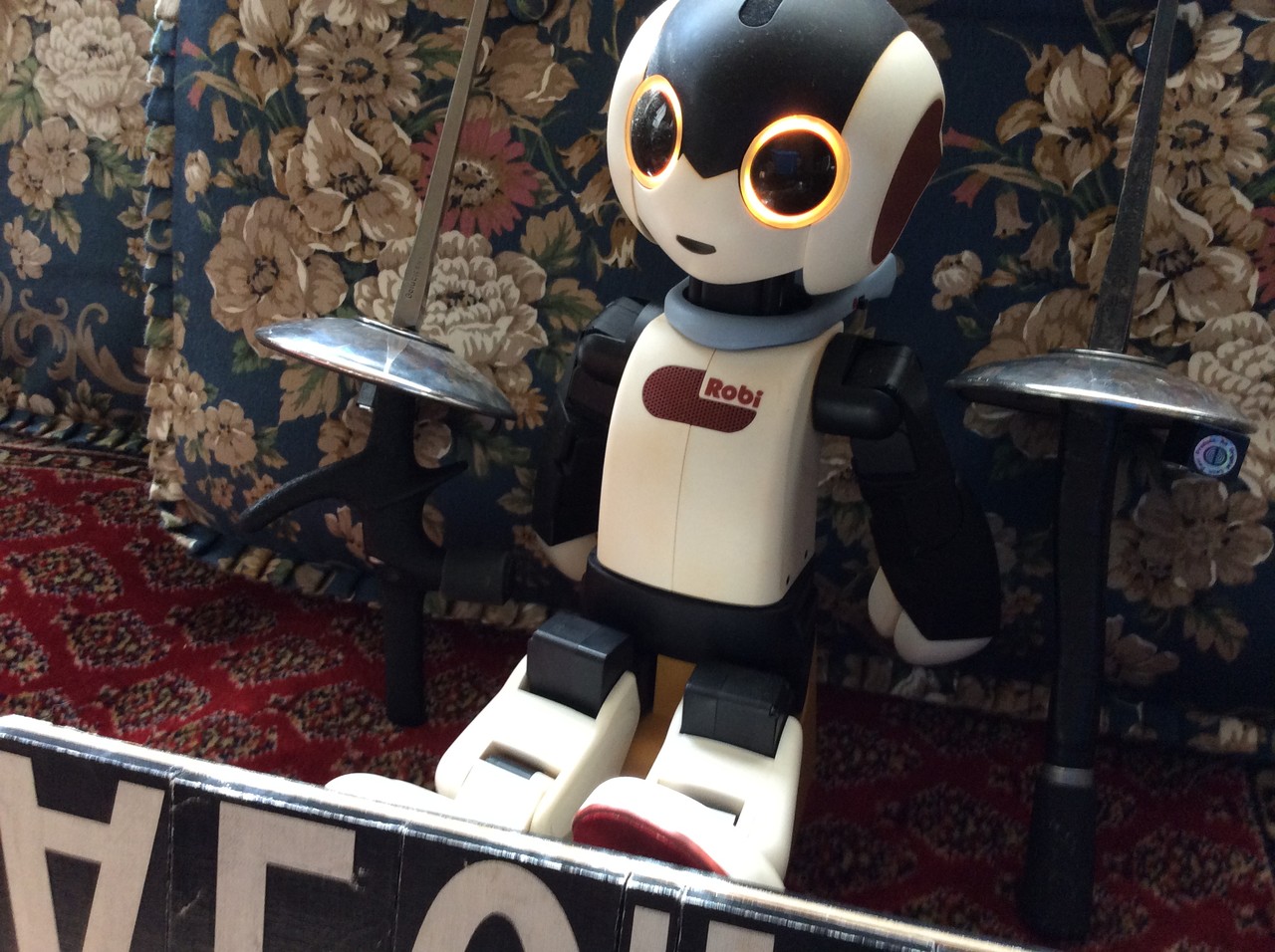 Robi’s first Christmas together - saprenzo | Fat Bikes, Fat Skis, Robi ...