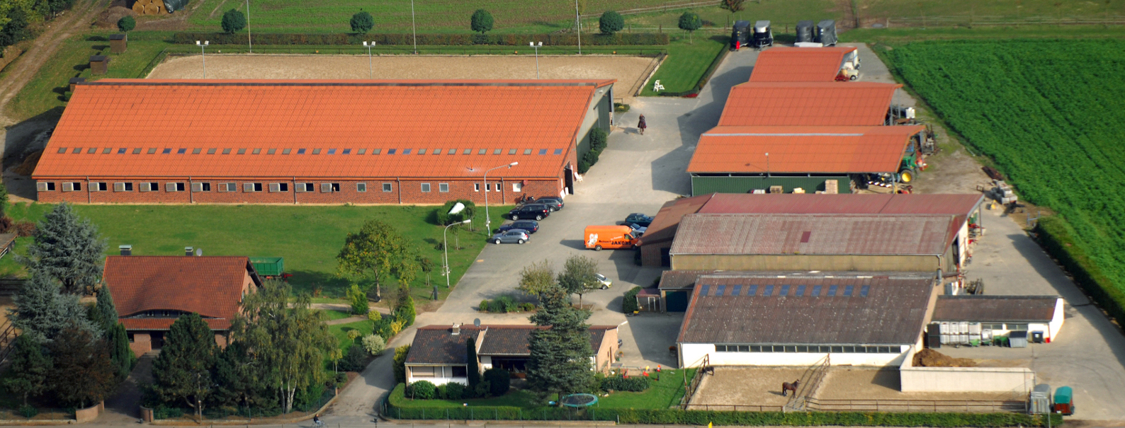 Thomas Rive - Niershofs Webseite!