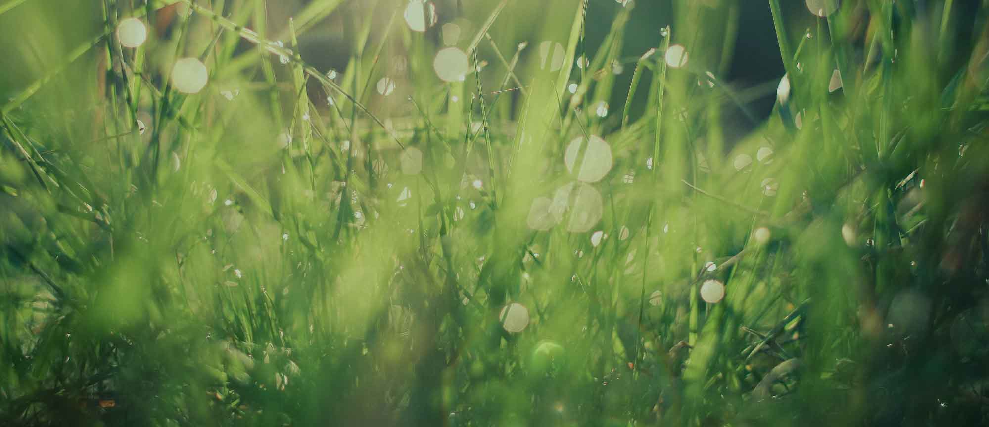 HOUR OF CODE - Página web de tecnologia1secundaria