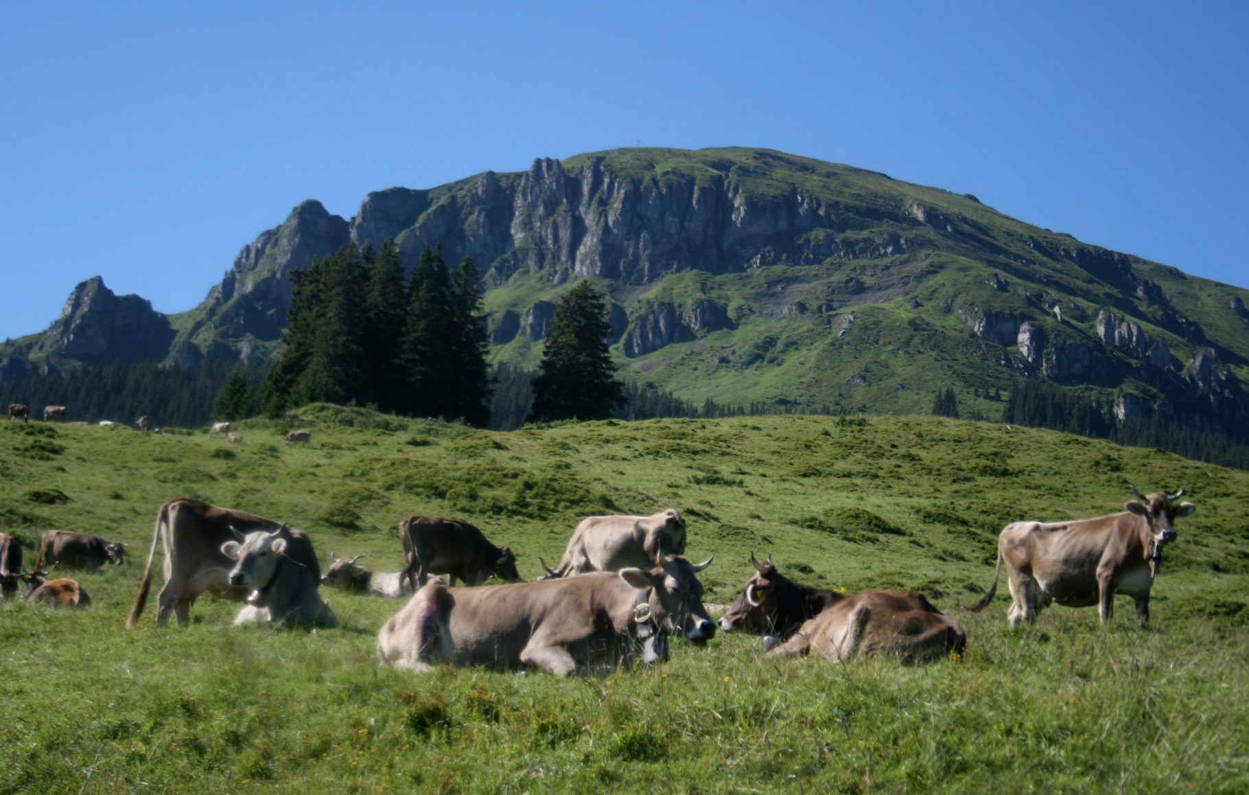 Natur pur - Kleinberg