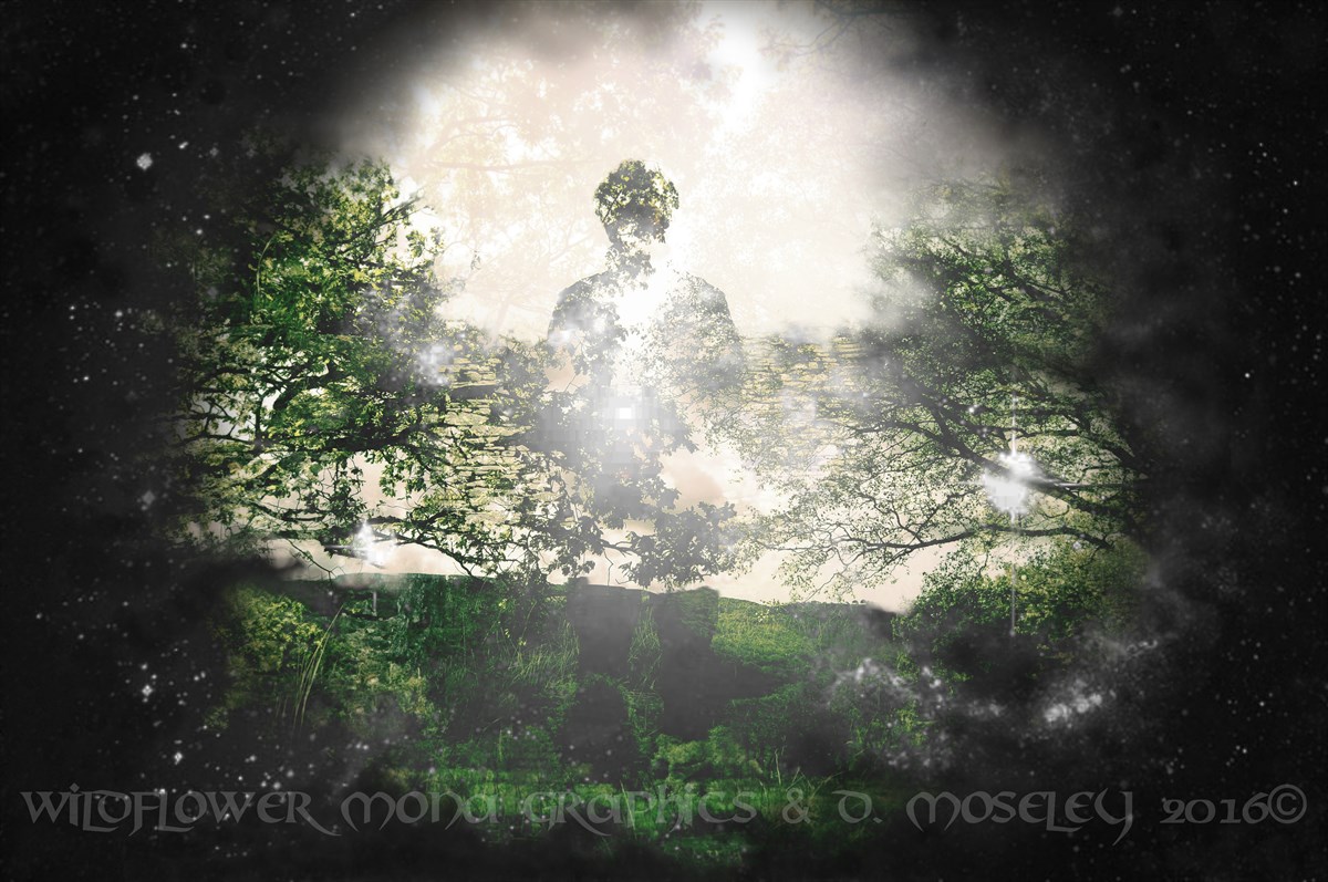 Photos ~ Rex Artorius - WildflowerMonaGraphics&Photography&Hidden ...