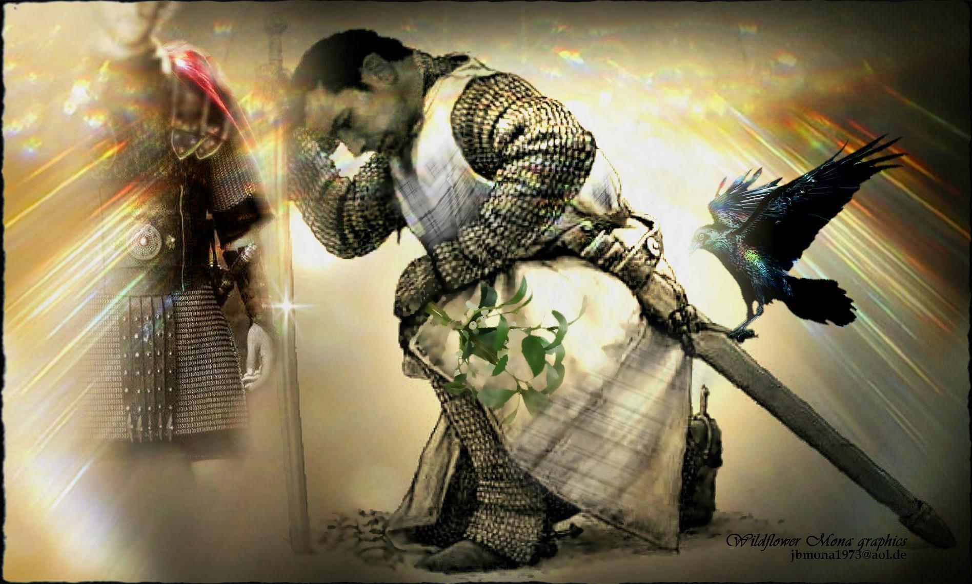 Photos ~ Rex Artorius - WildflowerMonaGraphics&Photography&Hidden ...