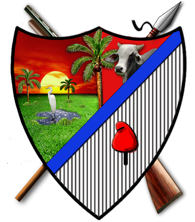ARAUCA DEPARTAMENTO - tame