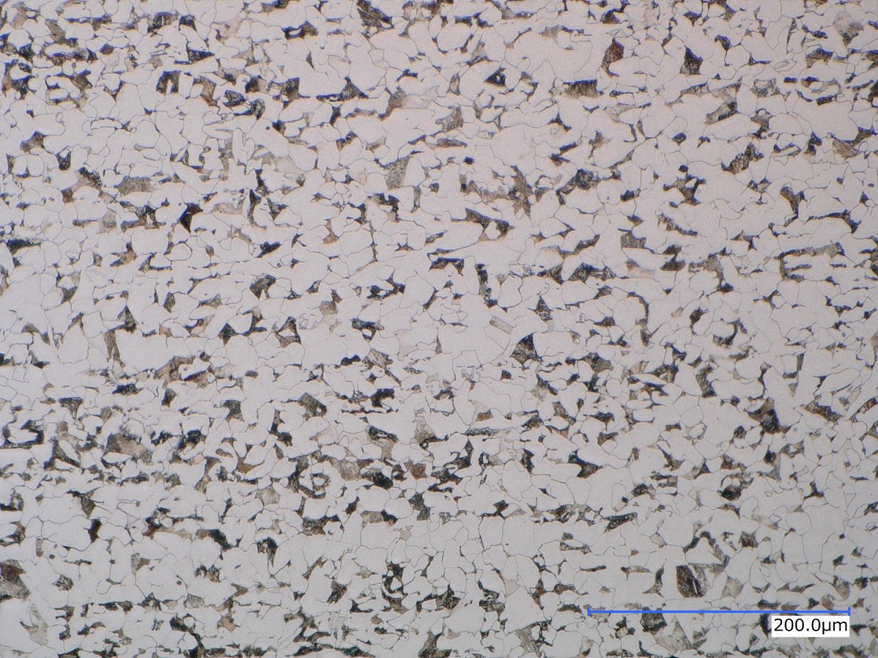 鉄鋼材料組織 - 福﨑技術士事務所