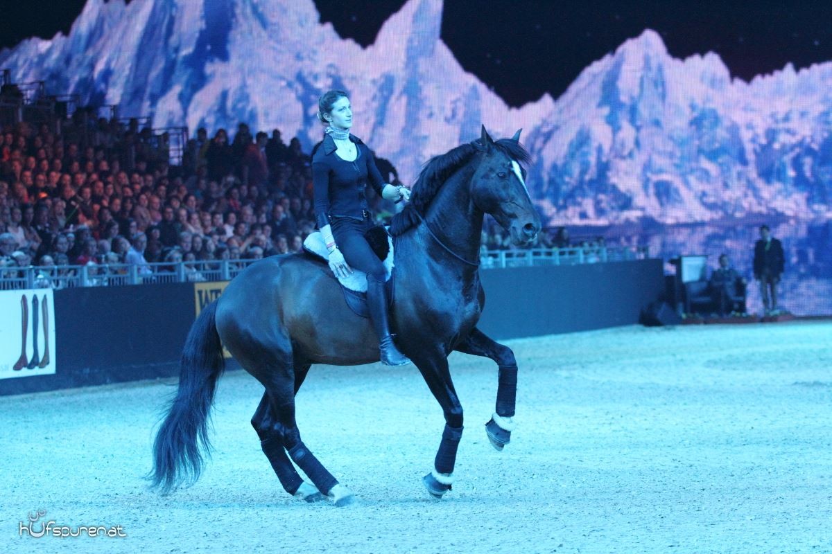 Equitana 2015: Kenzie Dysli und Kinopferd "Ostwind" hautnah erleben ...