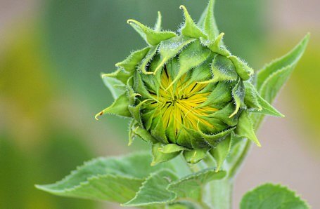 Schmollen und beleidigt sein: Tipps / Beratung - Mareike Schauf