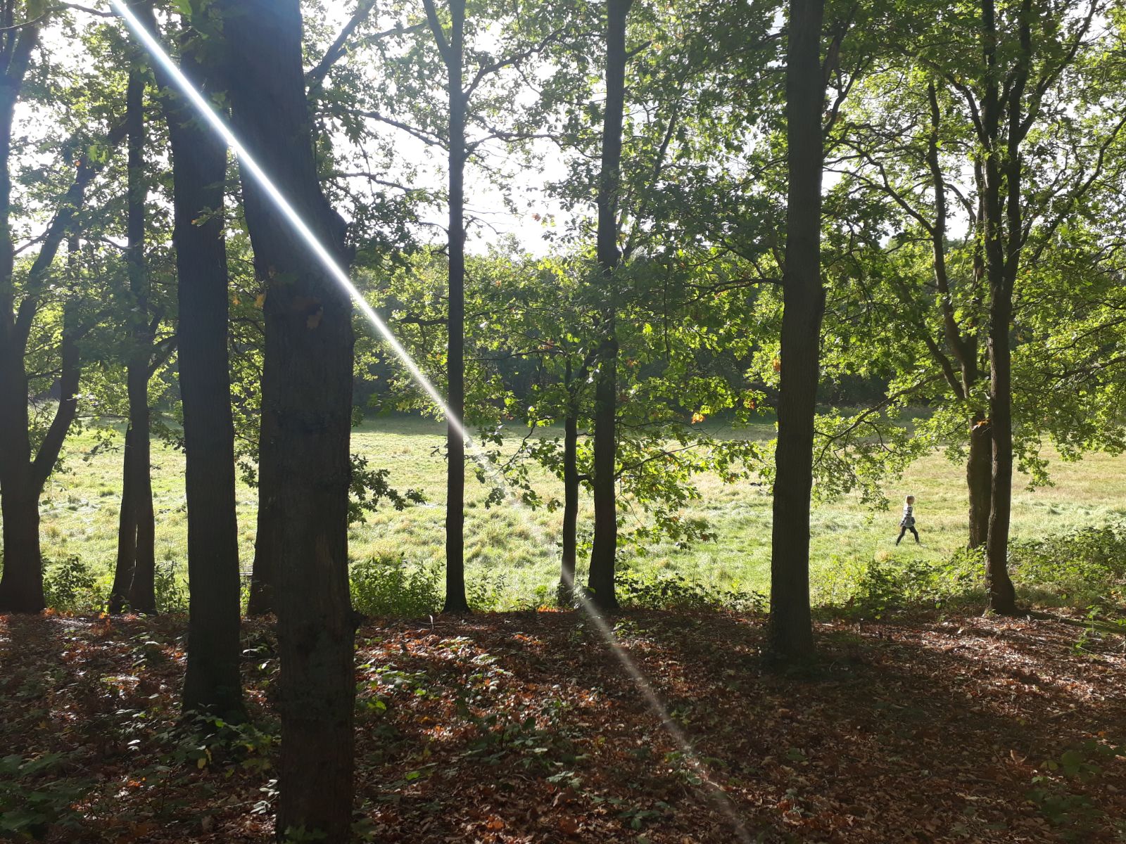 Werkwijze - De website van silverlining-coaching!