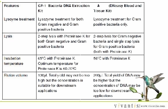 Bacterial DNA Isolation and Purification Kit - GeneON BioScience