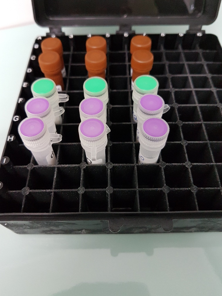 Universal qPCR Mix with SybrGreen and blue dye Luna - GeneON BioScience