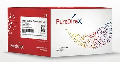 Bacteria Genomic DNA isolation with magnentic beads - GeneON BioScience