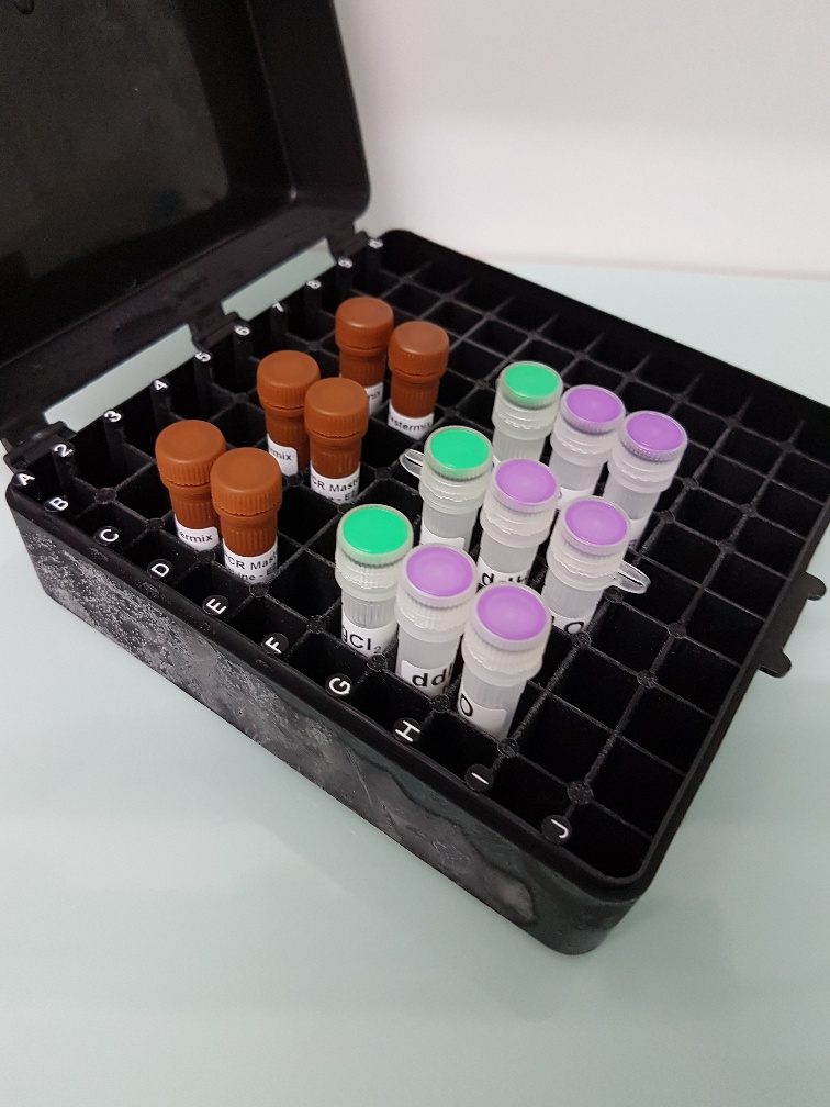 RT-PCR Master Mix with SybrGreen - GeneON BioScience