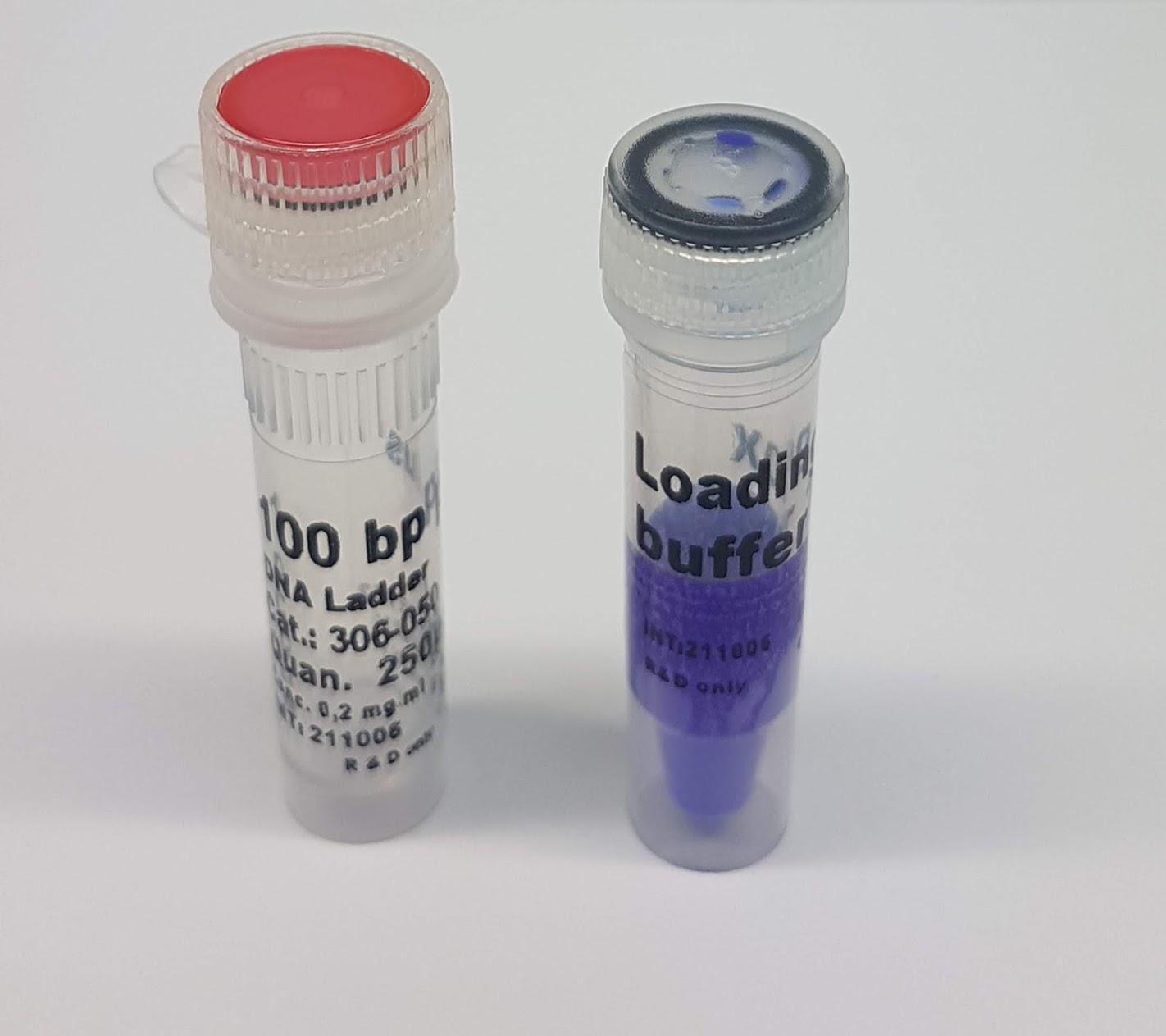 DNA Marker / DNA ladder 100 bp PLUS - GeneON BioScience