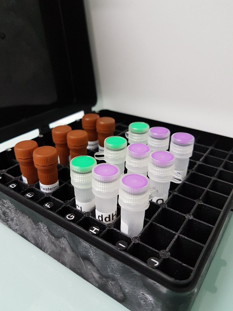 Mutanolysin: expressed in Bacteria system - GeneON BioScience