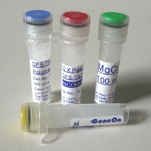 2X-PCR Master mix, high performance - GeneON BioScience