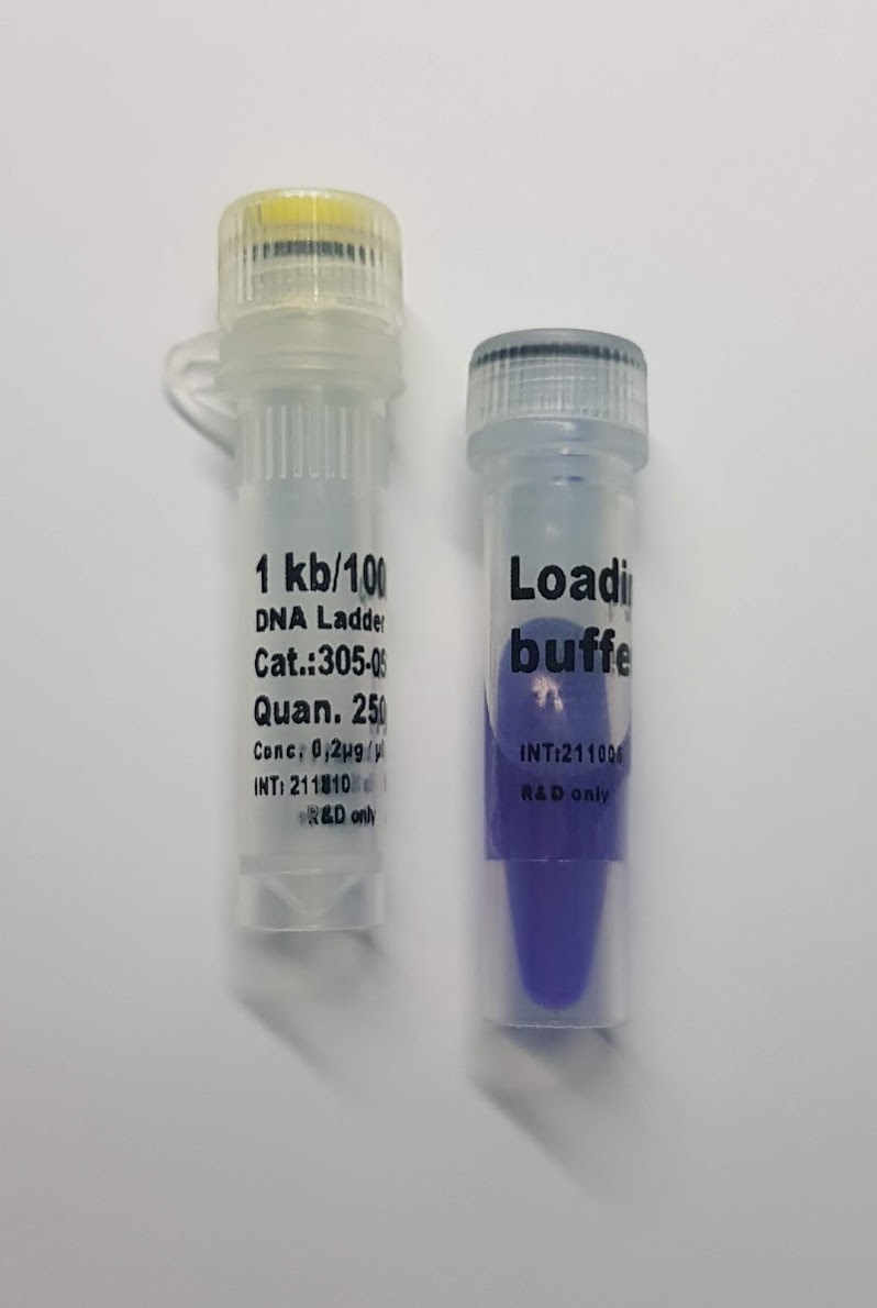 DNA Marker 1000 bp / 1 kb DE - GeneON BioScience