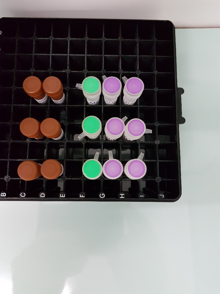 gDNA Removal Kit - GeneON BioScience