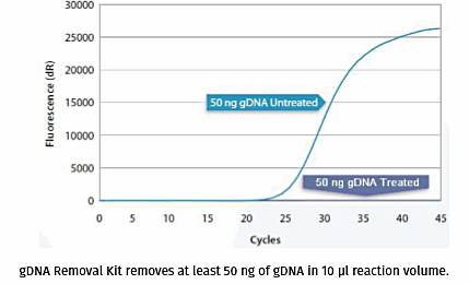 gDNA Removal Kit - GeneON BioScience