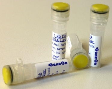 DNA Marker / DNA Ladder 1000 bp / 1 kb - GeneON BioScience