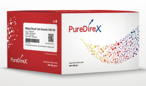 Magnetic beads for DNA extraction - GeneON BioScience