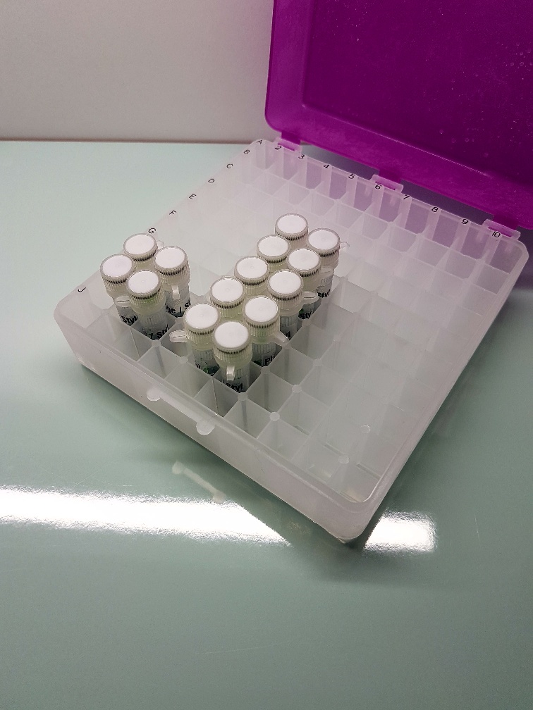 Random Primer 30 µg - GeneON BioScience