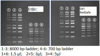 GelRed Substitute 10000x in water - GeneON BioScience