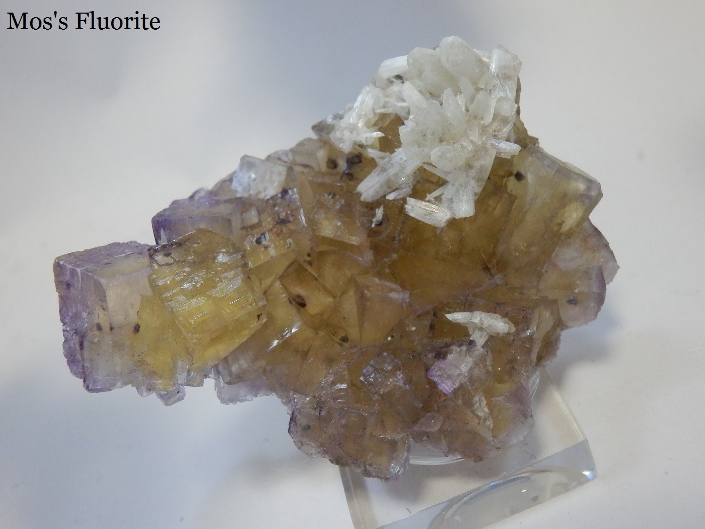 Minerva#1 Mine - mos's Fluorite