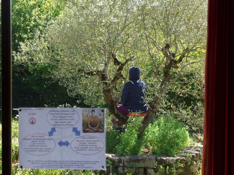 le noble silence - C' la Source - Bio énergéticienne de l'Etre - Coach ...