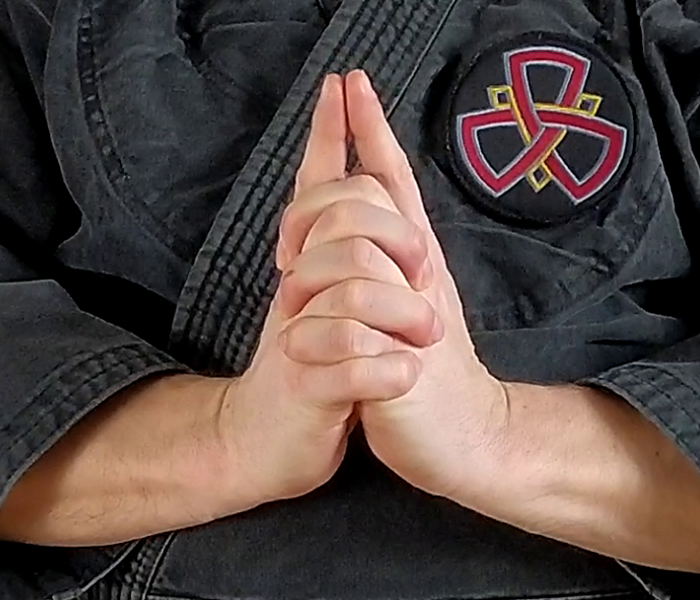 Kuji in und Kuji kiri - Ninjutsu lernen mit Ninpo Ralph