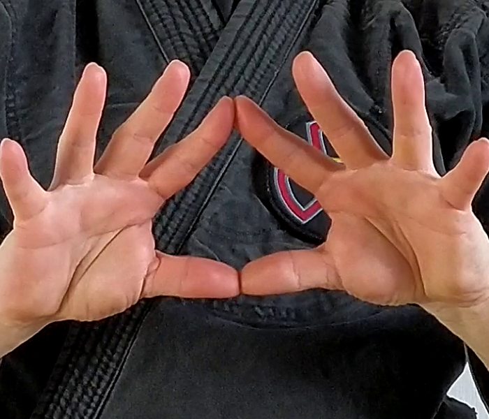 Kuji in und Kuji kiri - Ninjutsu lernen mit Ninpo Ralph