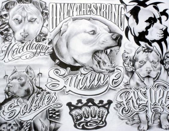 My predatory breed incredible is rich in the successful pure Indian ...