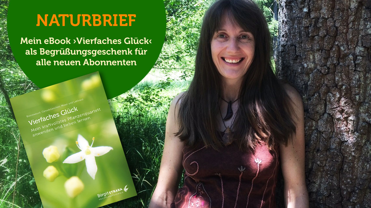 Schön, dass wir uns gefunden haben! - Birgit Straka - Naturlehrerin & Kinesiologin