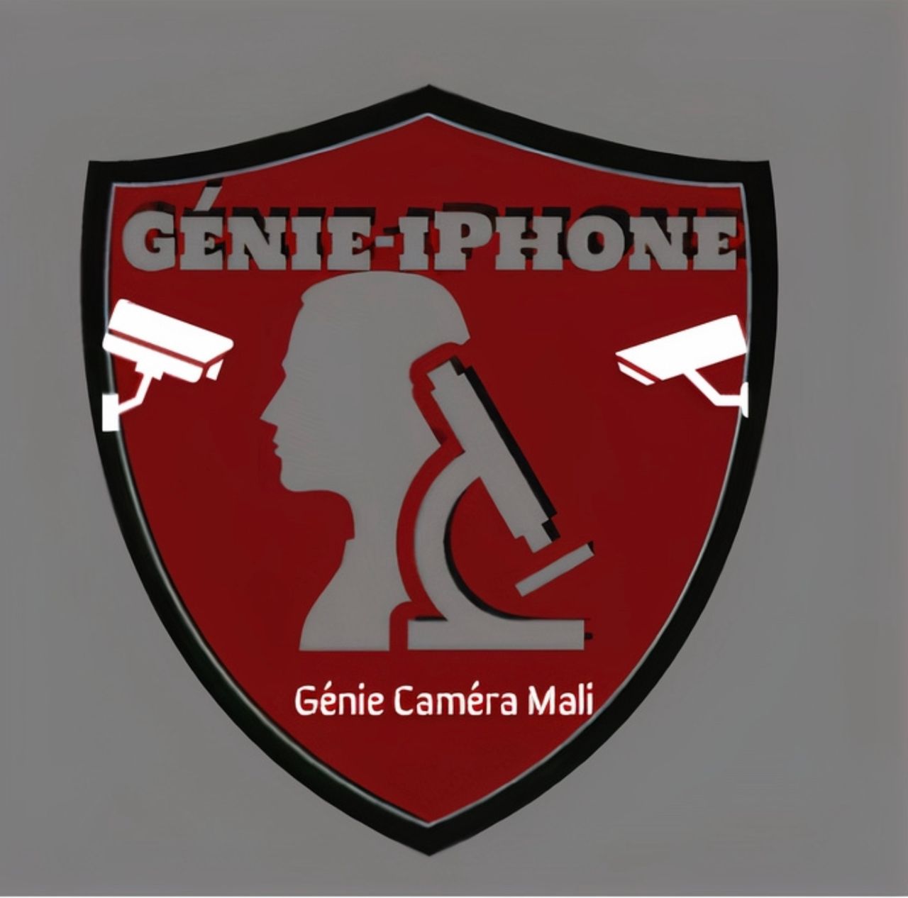 GENIE CAMERA by GENIE IPHONE - Site de hallebko