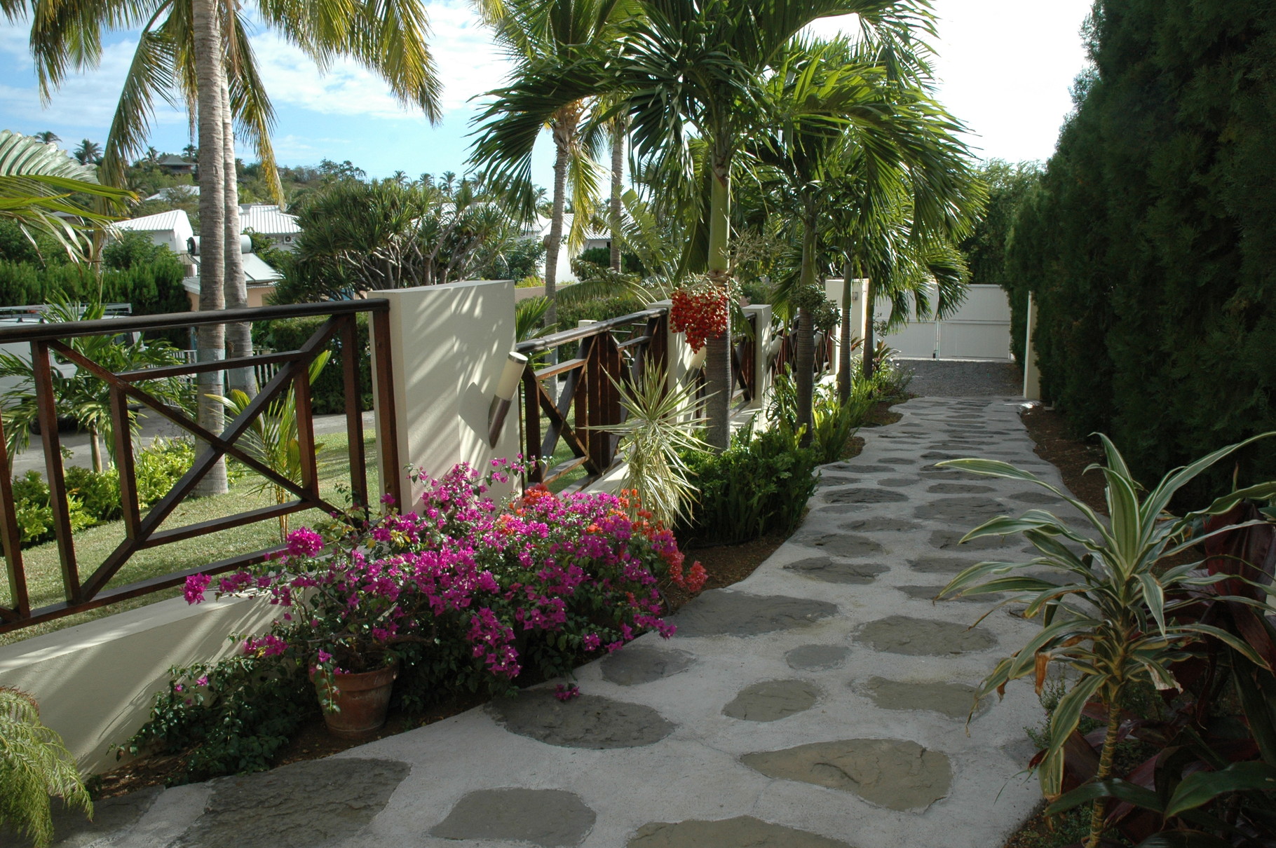 MUSA VELUTINA - Site de lecallimusa