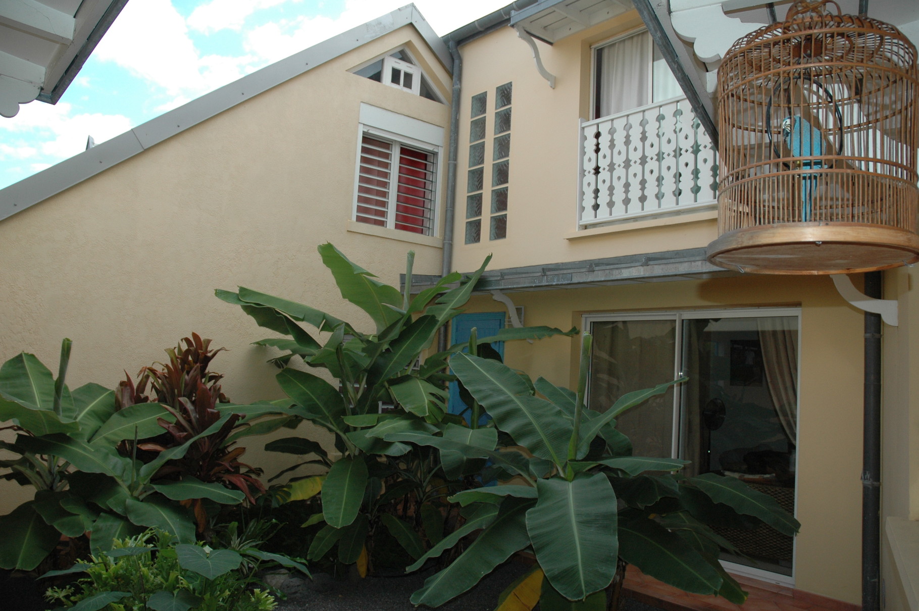 MUSA VELUTINA - Site de lecallimusa