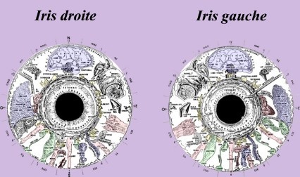 Iridologie - Site de seconde-vie-naturopathie