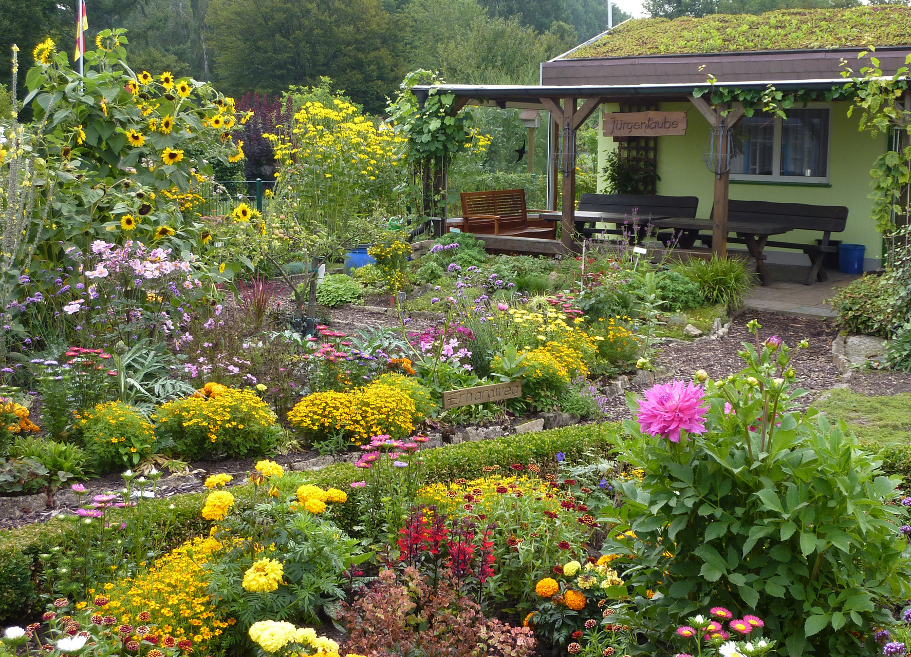 Schöne Gartenbilder - Kleingarten-Bielefeld.de