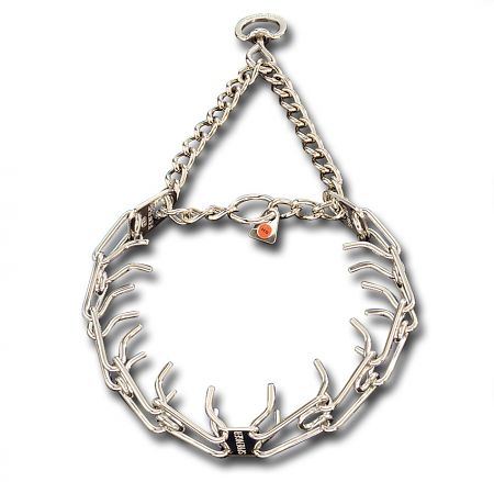 Stachelband - Fachhandel Hundesportbedarf