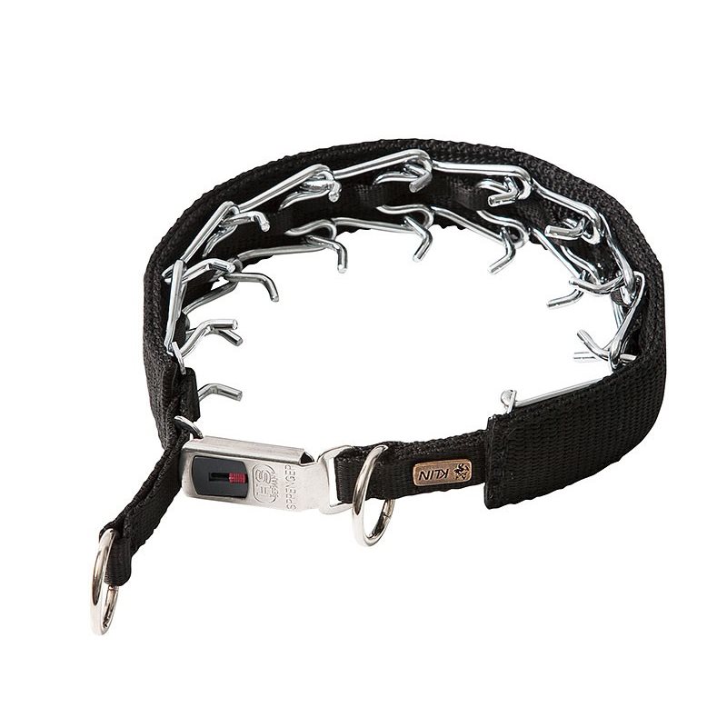 Stachelband - Fachhandel Hundesportbedarf