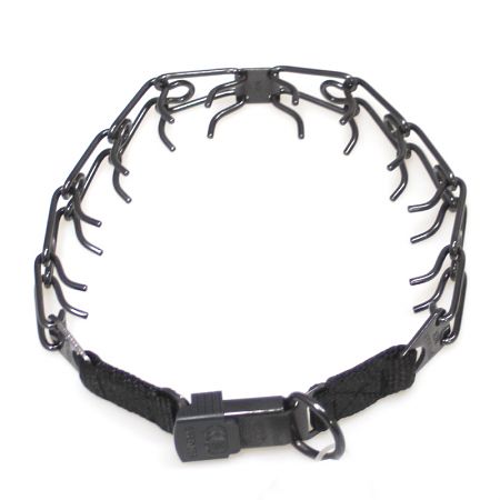 Stachelband - Fachhandel Hundesportbedarf