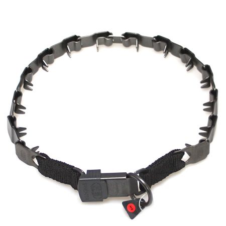 Stachelband - Fachhandel Hundesportbedarf