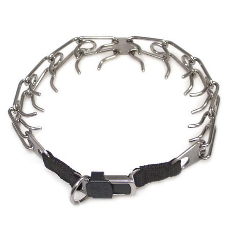 Stachelband - Fachhandel Hundesportbedarf