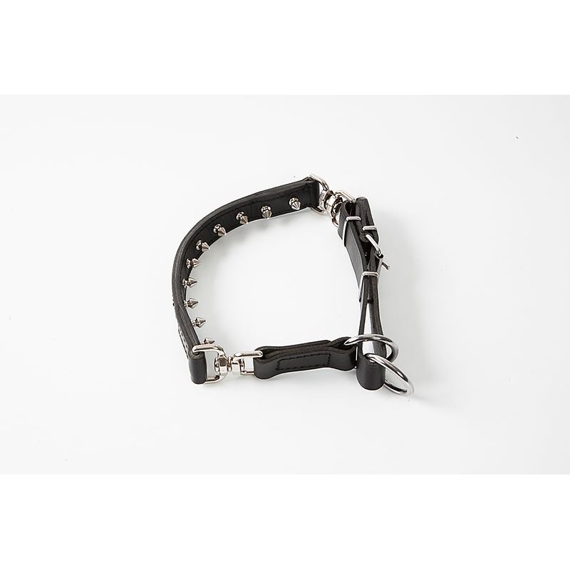 Stachelband - Fachhandel Hundesportbedarf