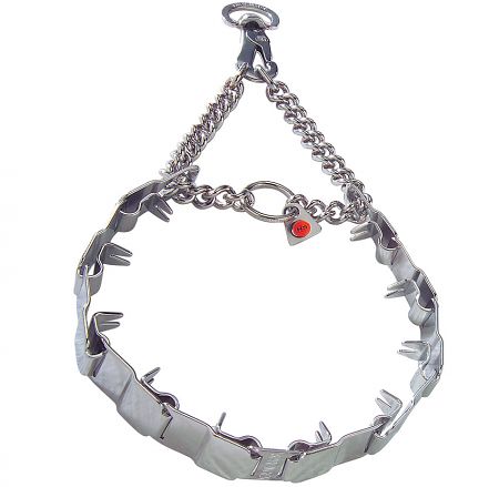 Stachelband - Fachhandel Hundesportbedarf